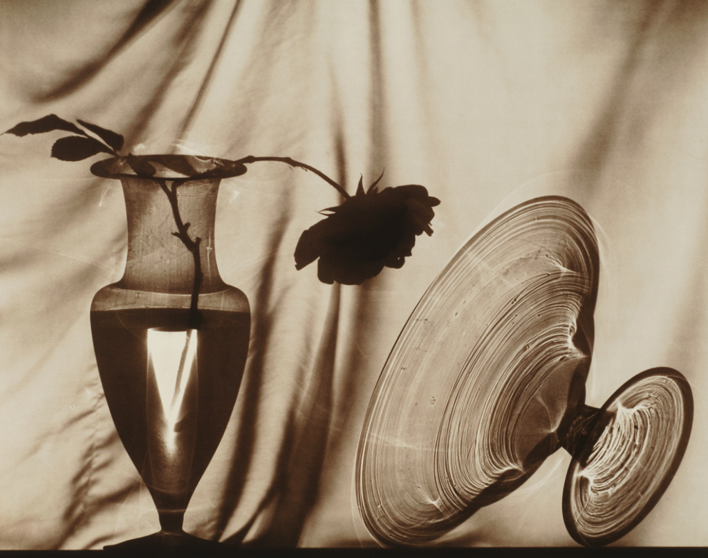 Photogramme - michel graniou